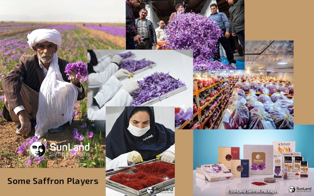 Iranian Saffron Value Chain Fully Explained - The Official Website Of ...